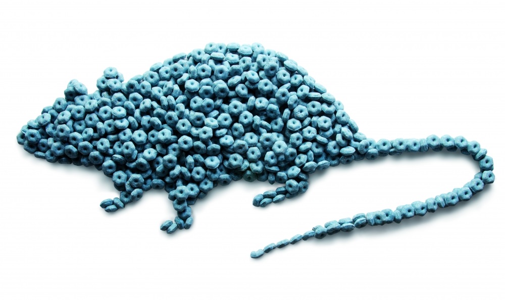 STORM SECURE 10 kg :: Profesional Samura